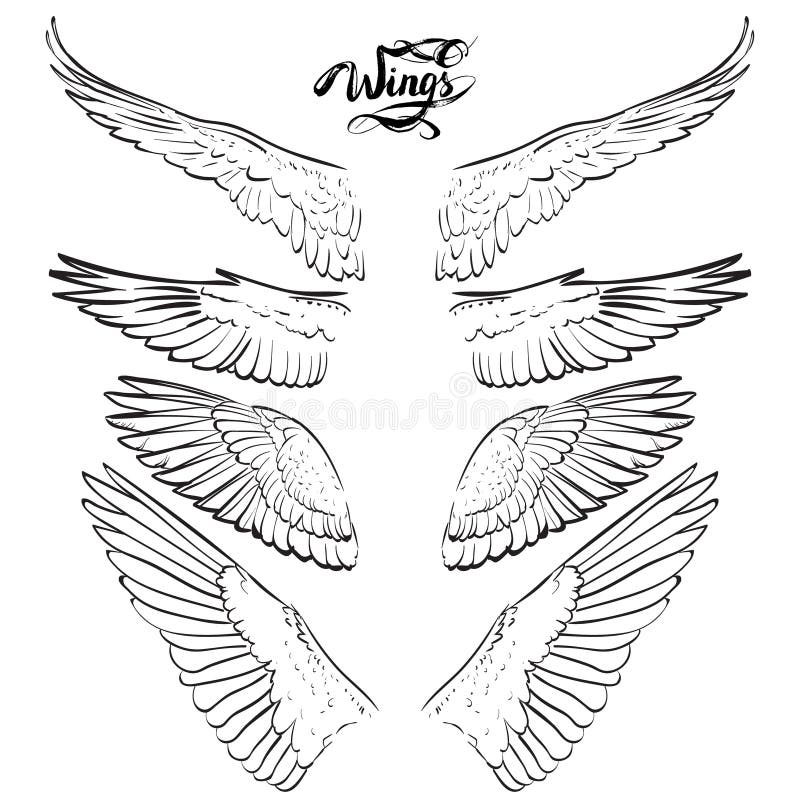 Wings Lettering Stock Illustrations – 8,157 Wings Lettering Stock ...