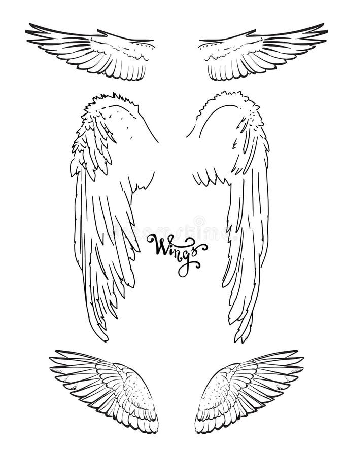 Angel Wings Texture Pattern Vector Drawing Stock Vector - Illustration ...