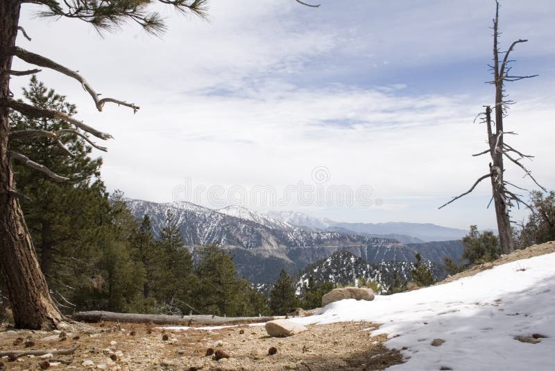 Angeles Crest Forest Picture. Image: 1076196