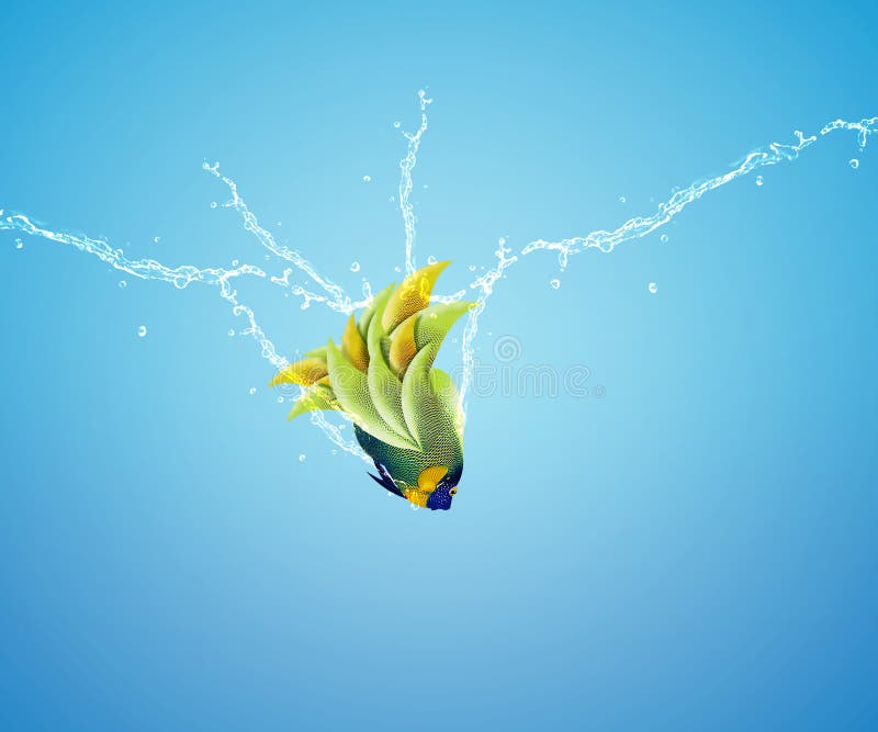 Angelfish Jumping Out of Fishbowl Stock Image - Image of ideas, concept ...