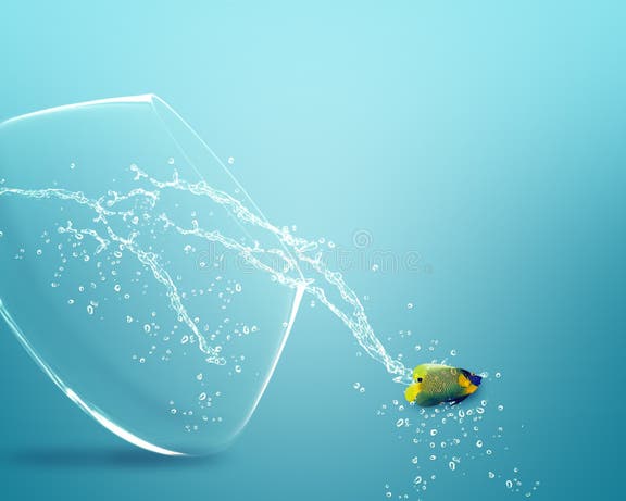 Angelfish Jumping Out of Fishbowl Stock Image - Image of diving ...