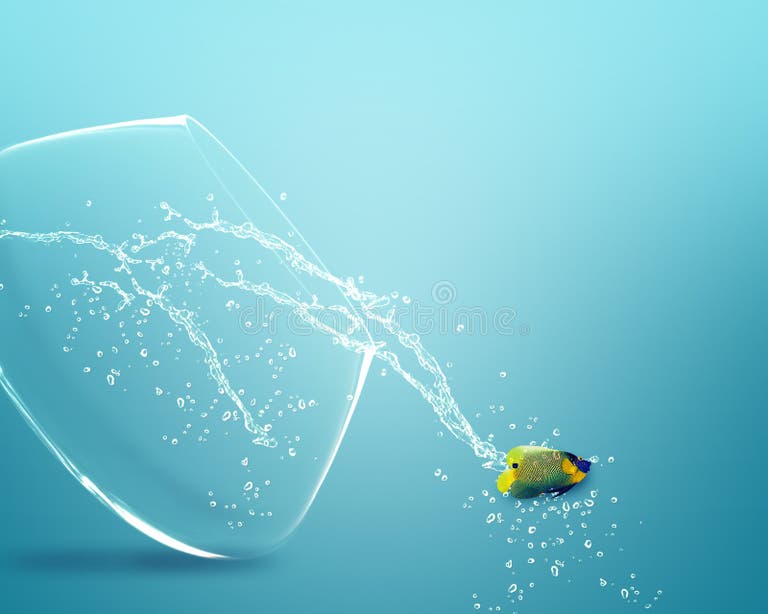 Angelfish Jumping Out of Fishbowl Stock Image - Image of diving ...