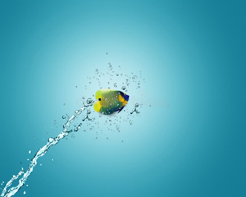 Angelfish Jumping Out of Water Stock Illustration - Illustration of ...