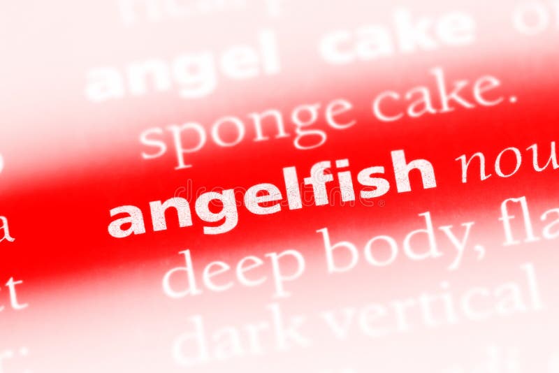 Angelfish stock image. Image of text, closeup, english - 114412299