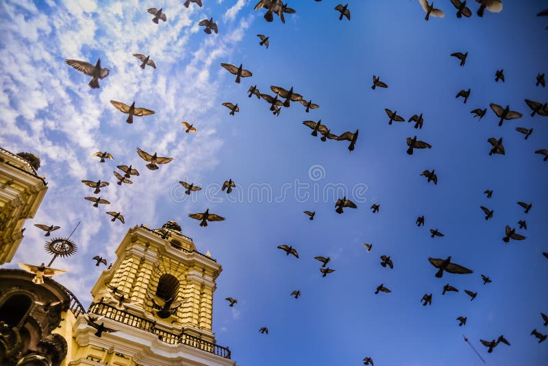 Angelic Birds stock photo. Image of angelic, angel, holy - 46319558