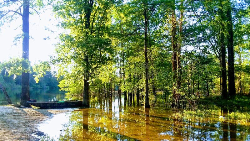 The Angelina river stock image. Image of nature, bevilport - 161272167