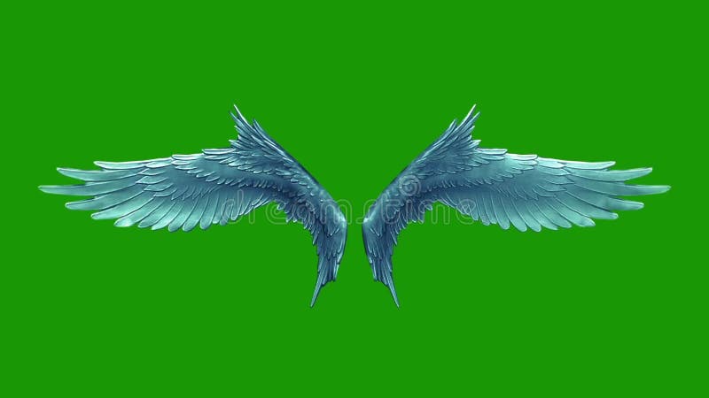Angels Flapping Wings Loop Green Screen 3D Renderings Animations Stock ...