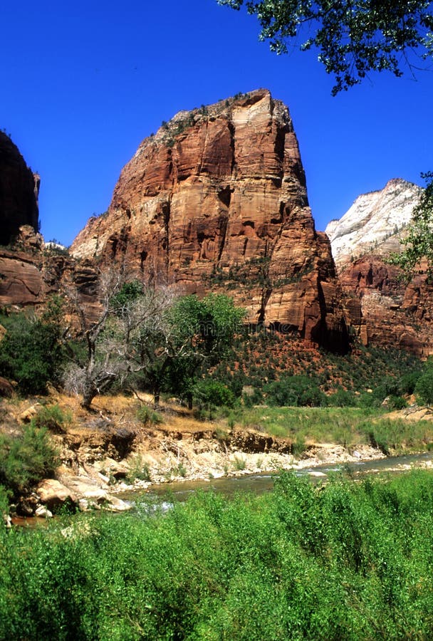 Angels Landing stock photo. Image of scenery, landing - 10630650