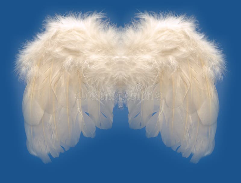 Angels wing stock image. Image of winged, religious, heaven - 1865479