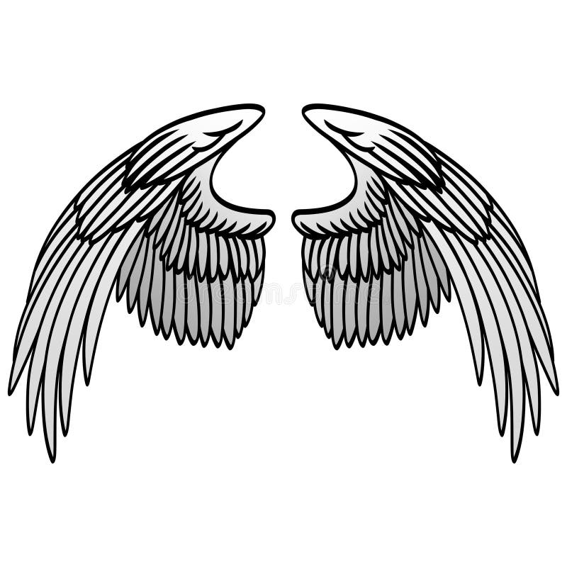 Angels Wings Bird Wing Vector Illustration Drawing Stock Vector ...