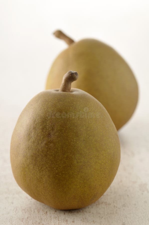 Angelys pears stock photo. Image of fruit, winter, pear - 23703262