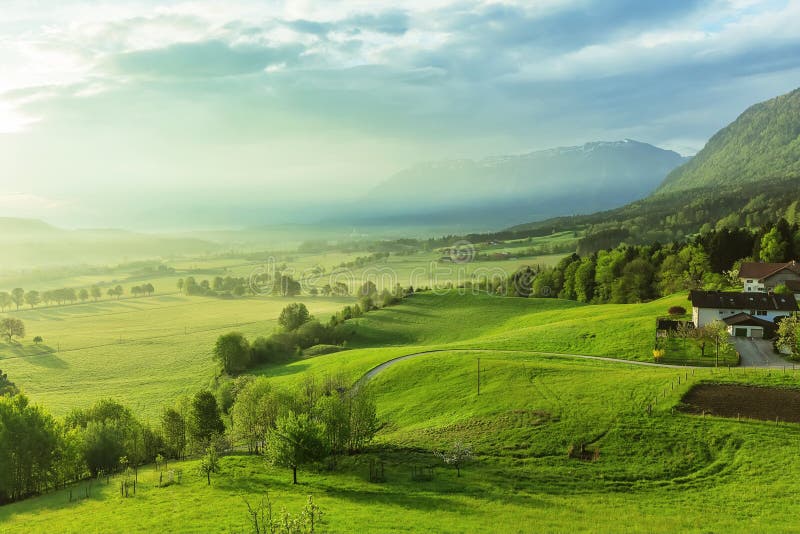 Anger, Germany, Bavaria stock image. Image of biscuit - 80780401