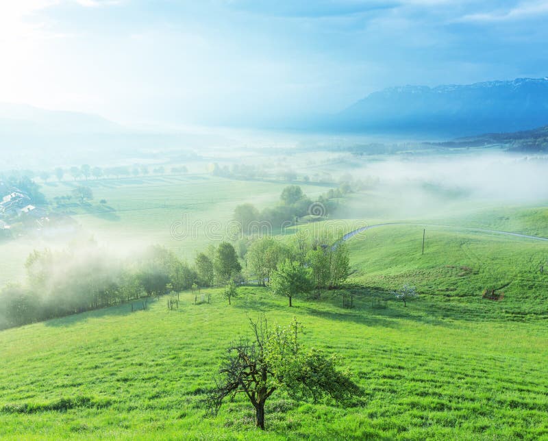 Anger, Germany, Bavaria stock image. Image of biscuit - 80780401