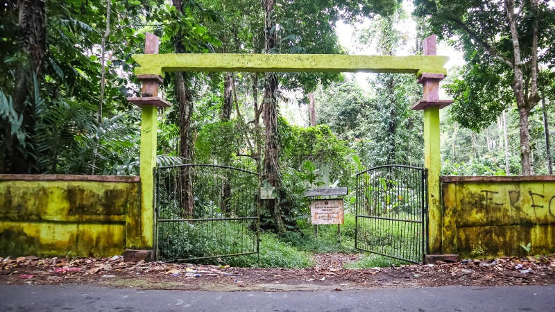 Anggori Protected Forest in Manokwari, West Papua. Stock Image - Image ...