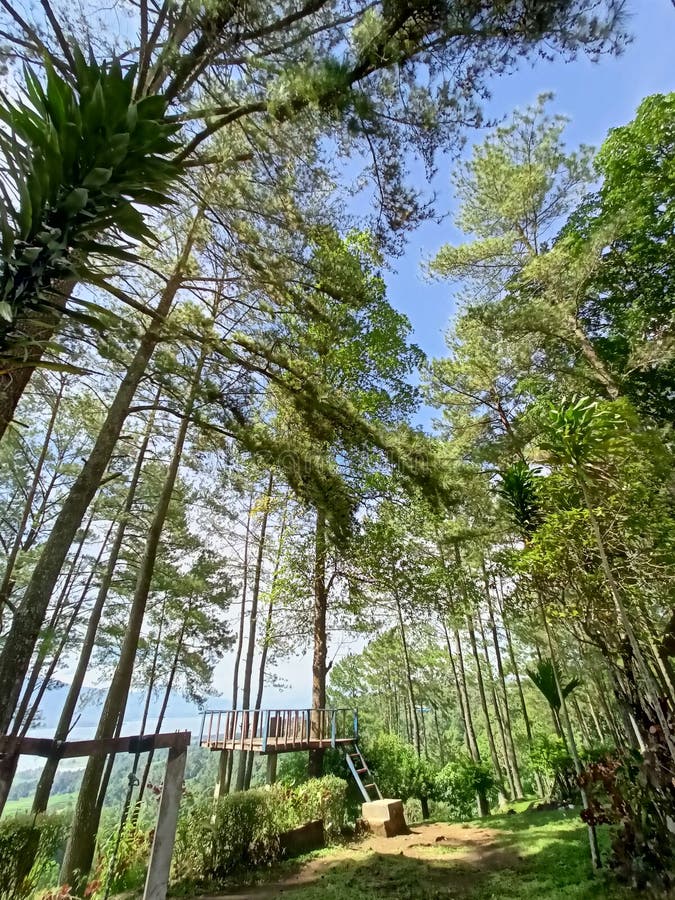 Angin Berumbus at Solok, West Sumatra Stock Image - Image of solok ...