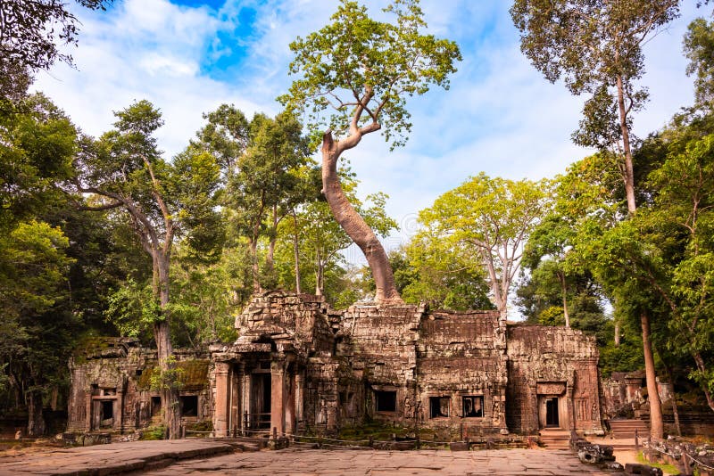 Angkor Ancient Temple Ruins with Trees in Cambodia Stock Photo - Image ...