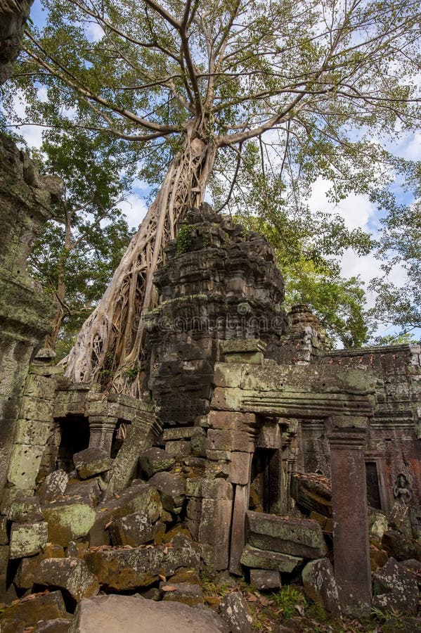 Angkor Ta Prohm in Cambodia Stock Image - Image of khmer, carving: 47949827