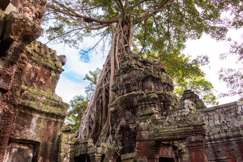 Angkor Thom, Ancient Temple Ruins in Cambodia Jungle with Tree Roots ...