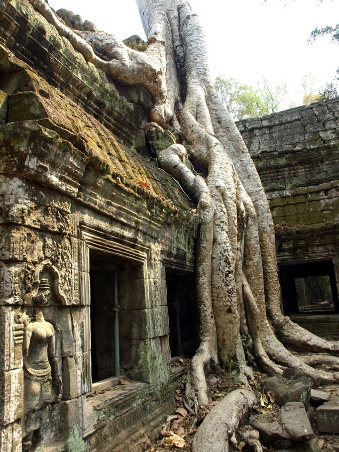 Angkor vat Cambodia stock image. Image of angelina, ancient - 85012123