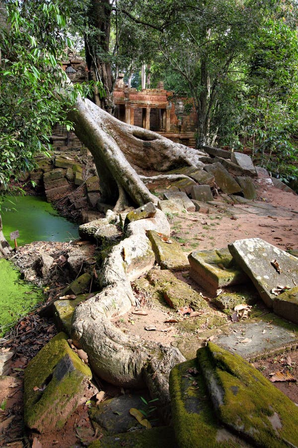 Angkor Wat stock image. Image of forest, archeology, cambodia - 22504777