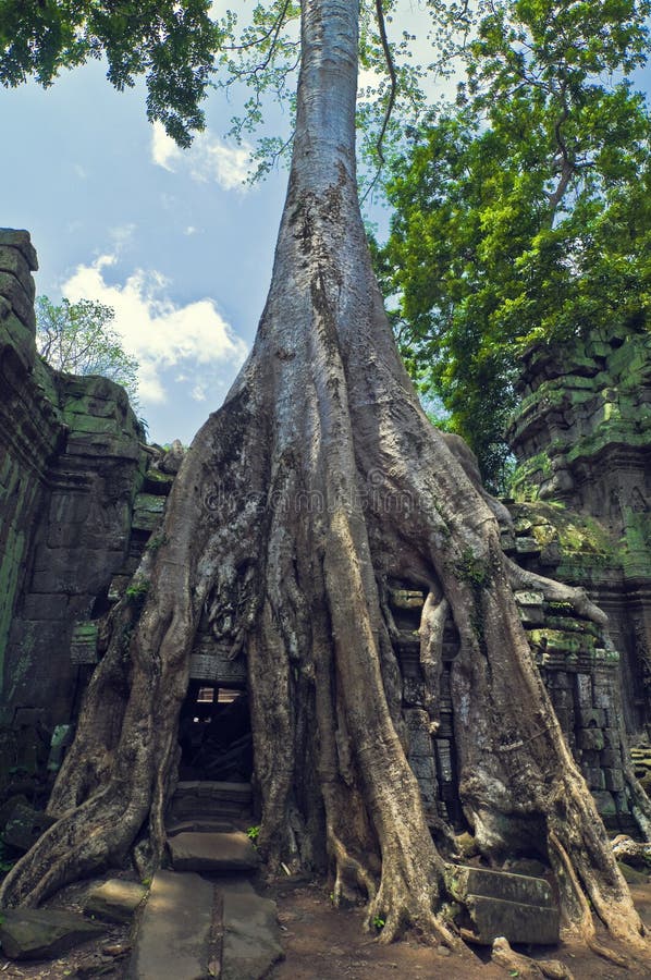 Angkor Wat Picture. Image: 8468846