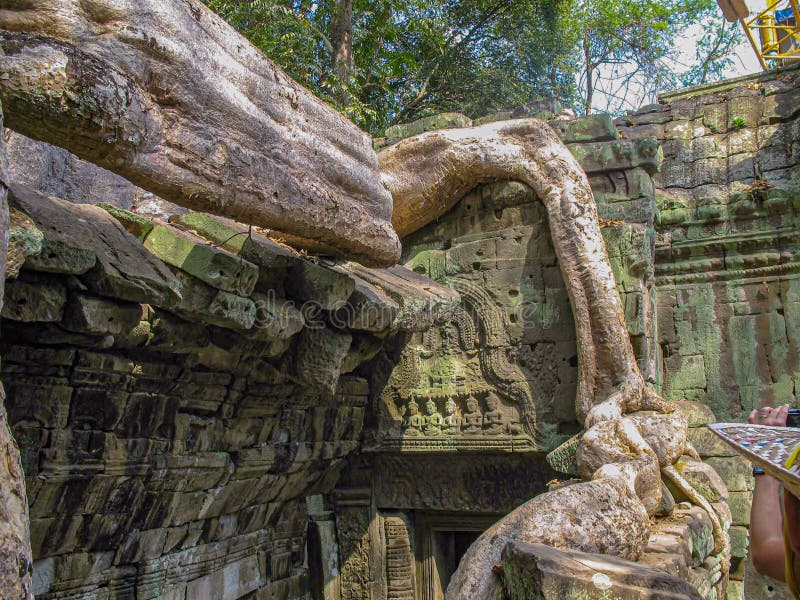 Angkor Wat Strangling Trees Editorial Stock Image - Image of cambodia ...