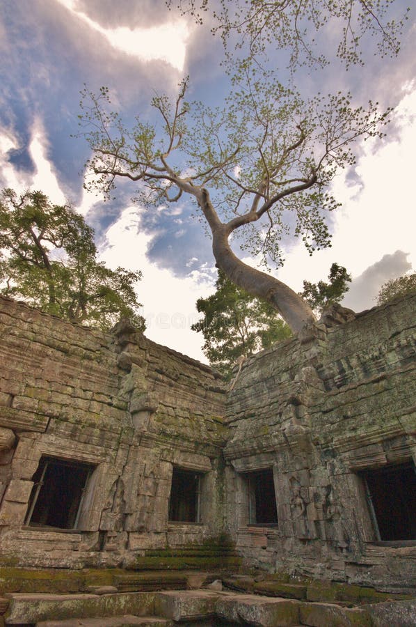 Angkor Wat Temples and Trees Stock Image - Image of temples, siem: 60953701