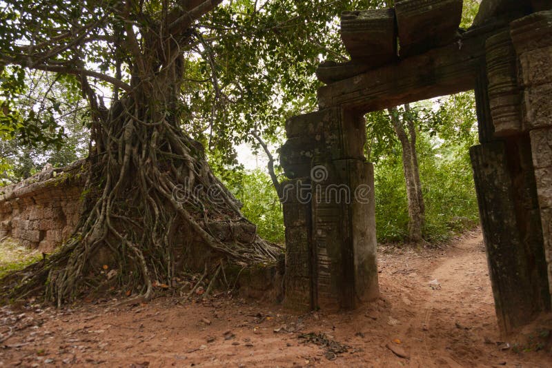 Angkorian Temple in the Jungle Stock Photo - Image of angkor, temple ...