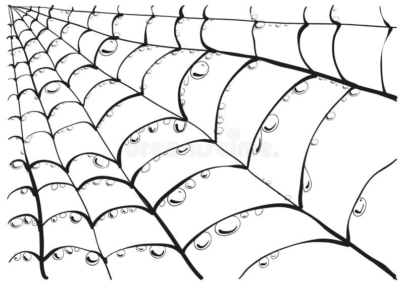 Angle Segment of Spider Web with Dew Drops Stock Vector - Illustration ...