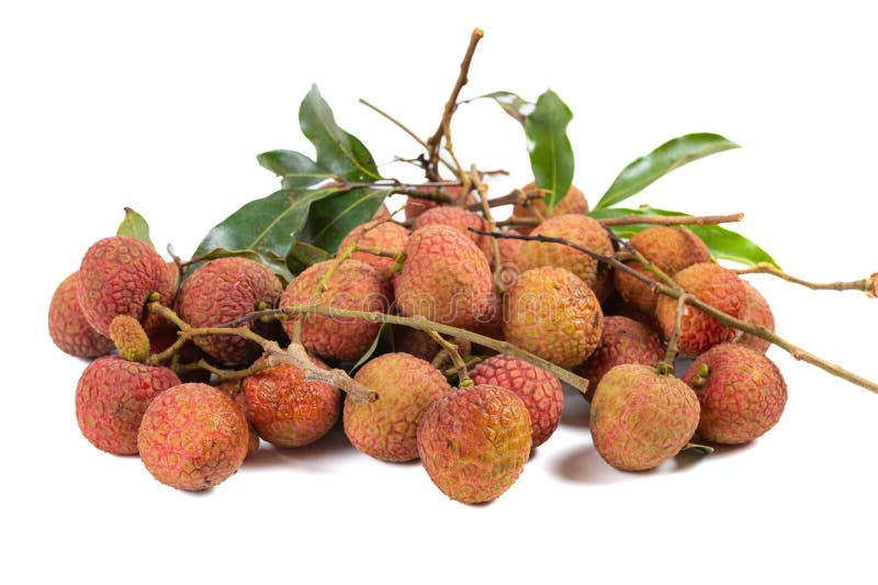 Bunch of Fresh Lichees on White at Horizontal Composition Stock Photo ...