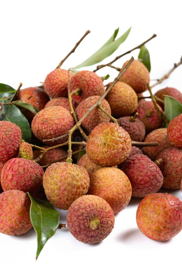 Angle View Bunch of Fresh Lichees on White Vertical Composition Stock ...