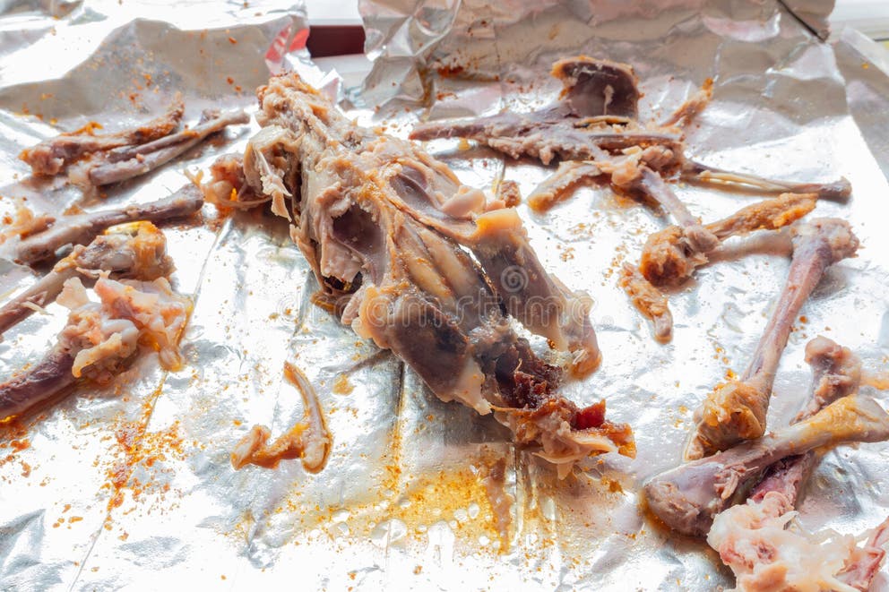 Angle View Chicken Skeleton and Bones Horizontal Composition Stock ...