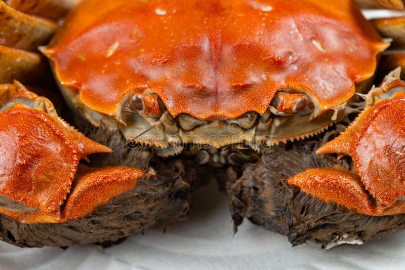 Angle View Fresh Cooked Crab Close Up Horizontal Composition Stock ...