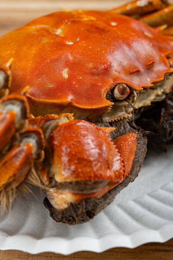 Angle View Fresh Cooked Crab Close Up Vertical Composition Stock Photo ...