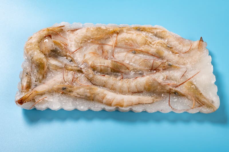 Frozen Prawns on Blue Horizontal Composition Stock Photo - Image of ...