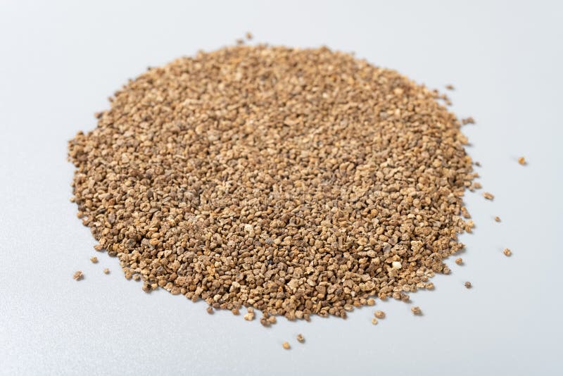 Herb DiFuZi or Kochiae Fructus or Belvedere Fruit Stock Photo - Image ...