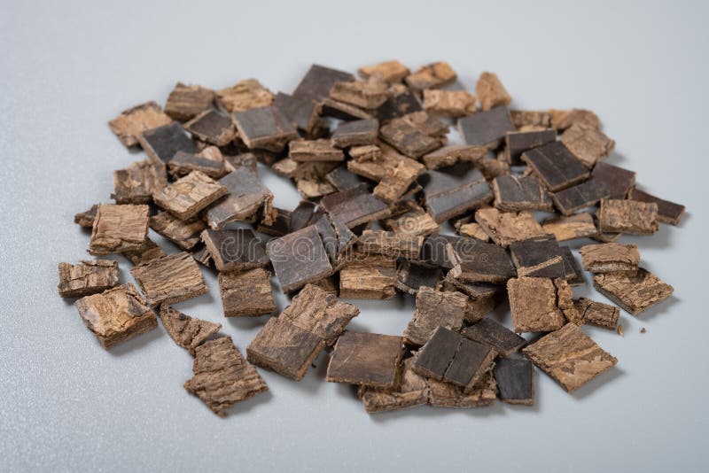 Herb DuZhong or Eucommiae Cortex or Eucommia Bark Stock Photo - Image ...