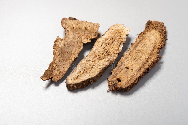 Angle View Herb MuXiang or Aucklandiae Radix or Costusroot Stock Image ...