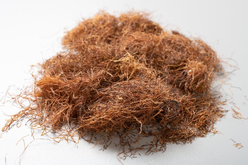 Herb YuMiXu or Stigma Maydis or Corn Silk Stock Image - Image of herb ...