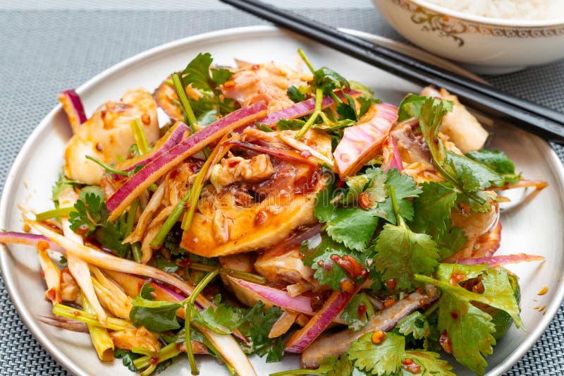 Mouth-watering Chicken or Drooling Chicken with Rice at Horizontal ...