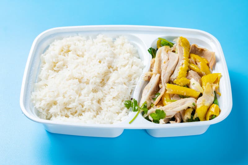 Takeaway Fast Food with Shredded Boiled Chicken and Vegetable on Blue ...