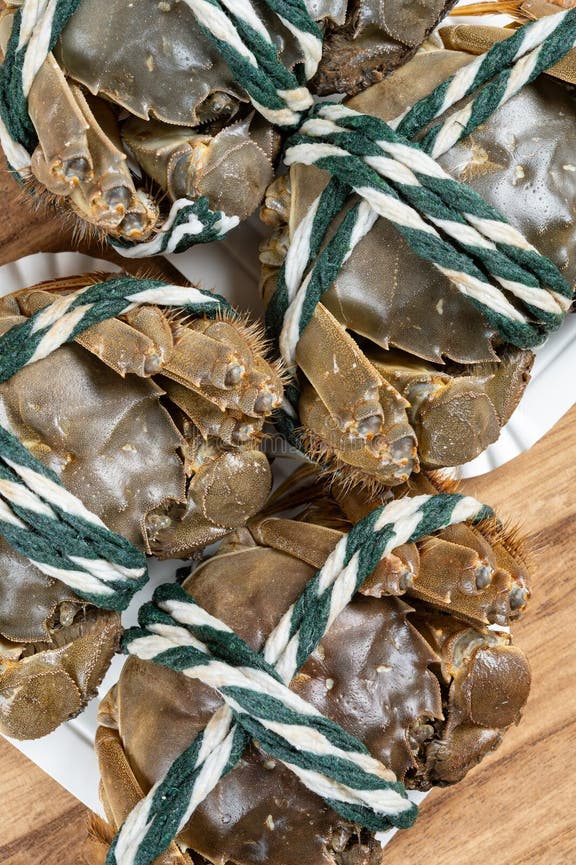 Angle View Wrapped Alive Crabs Vertical Composition Stock Image - Image ...