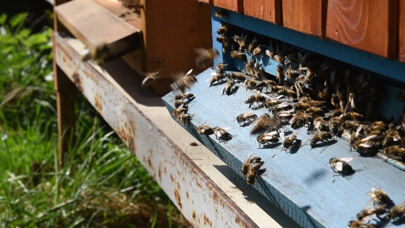 Angled Groove on Limestone Rock Stock Footage - Video of dirty, color ...