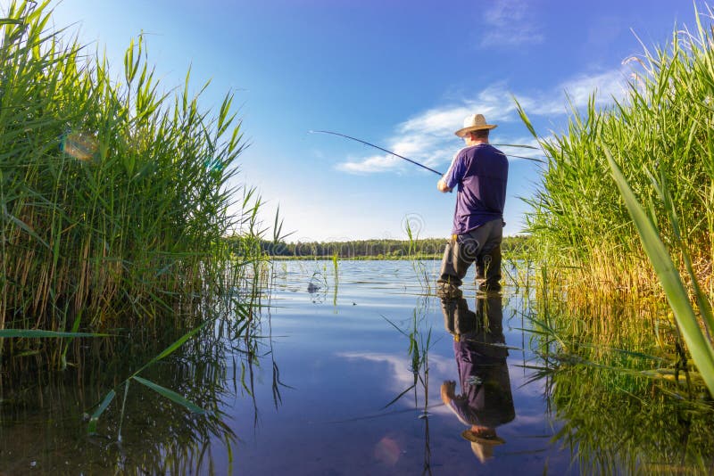 Angler stock image. Image of fisherman, lake, reel, sunny - 158072313
