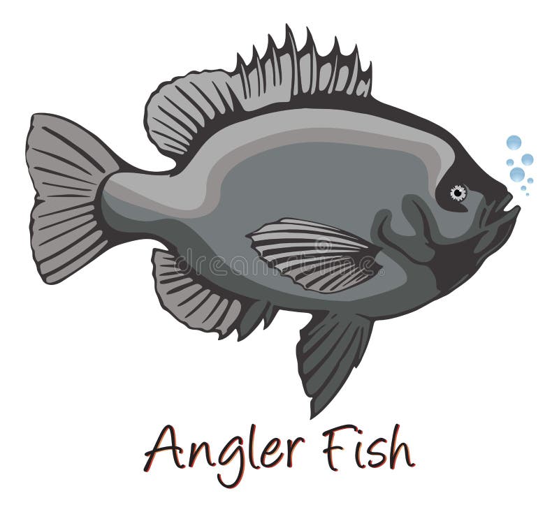 Anglerfish, Color Illustration Stock Vector - Illustration of marine ...