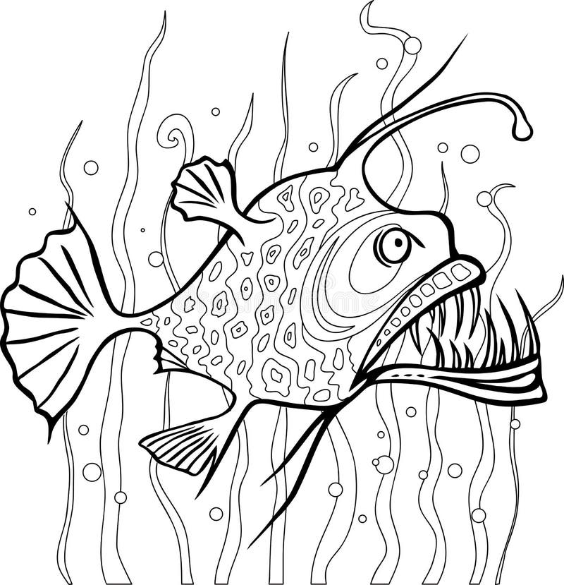 Anglerfish coloring page stock vector. Illustration of graphic - 41314177