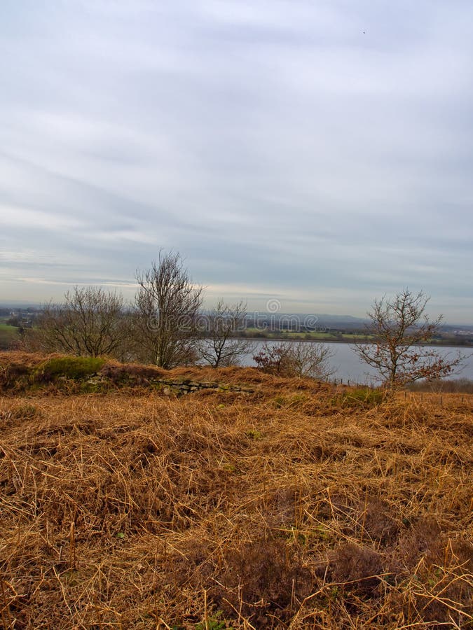 Anglezark reservoir stock photo. Image of water, springtime - 38758128