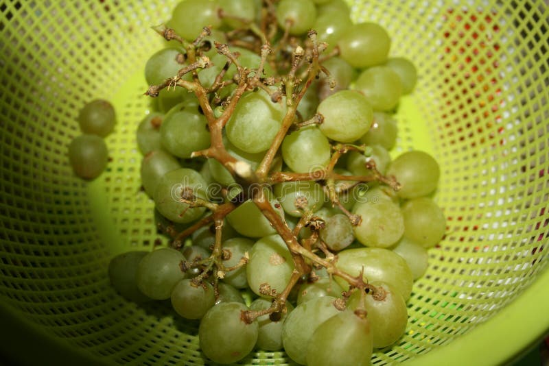Images for Angoor / Grapes Green Fruits Stock Image - Image of bags ...