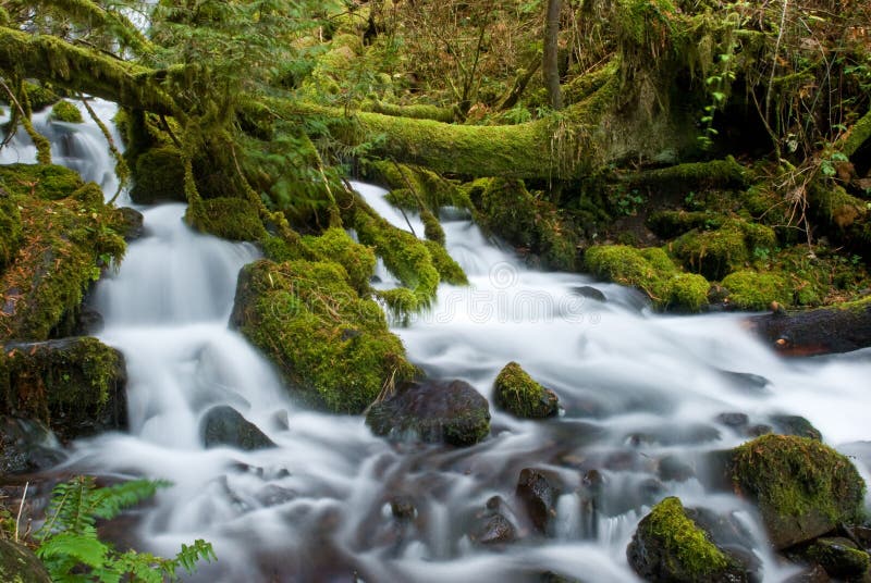Angra Pequena No Desfiladeiro Foto de Stock - Imagem de movimento ...