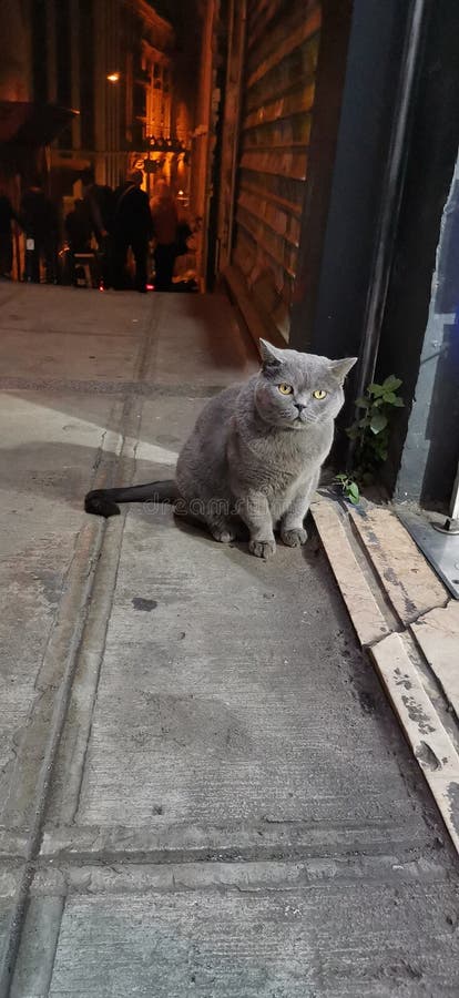 Angry Man at the Door Viewed through Spy Hole Stock Photo - Image of ...